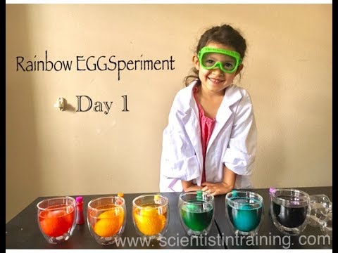 Naked Egg Experiment | Scientist in Training | Science for Kids - YouTube