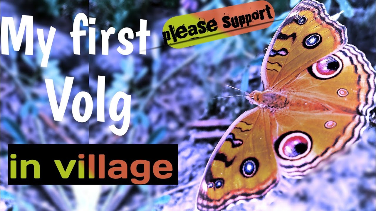 My first Volg #My First volg in village #My first Volg in YouTube - YouTube