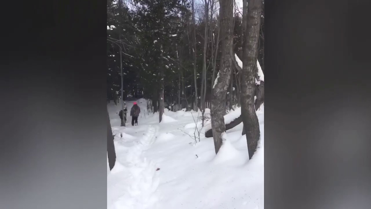 Early winter hike 2019 - YouTube