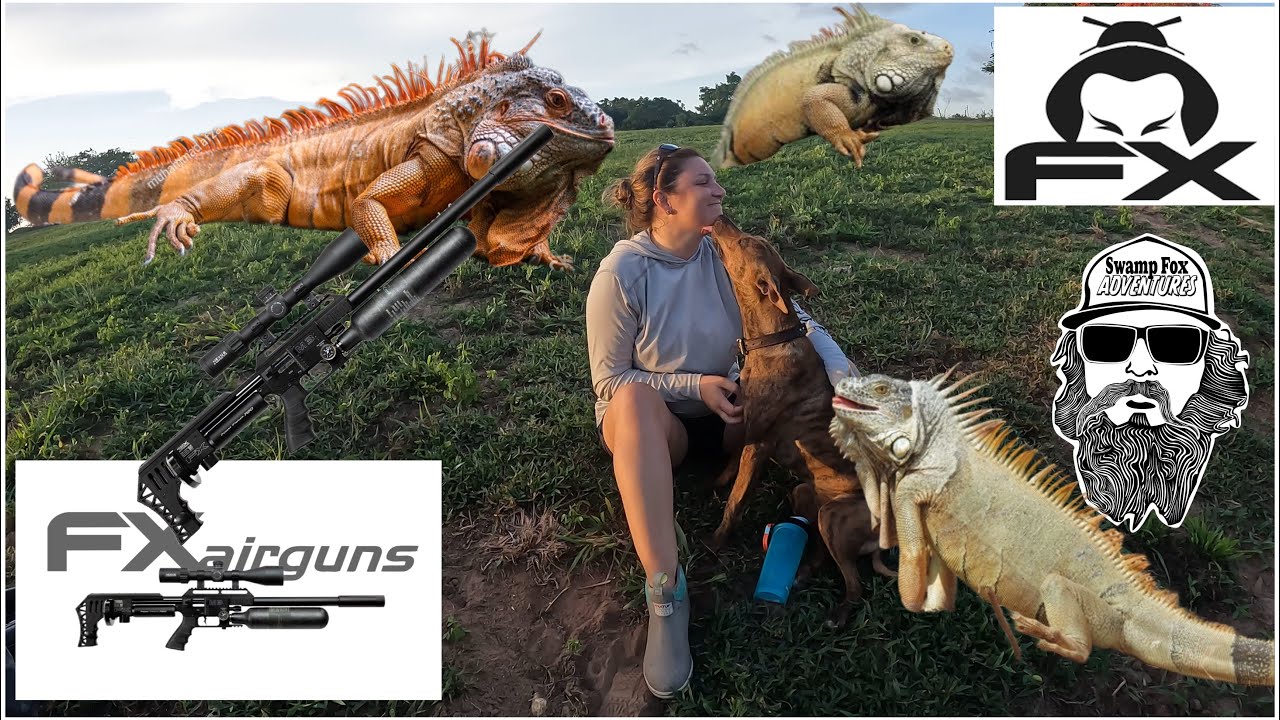 LOOK AT ALL THE IGUANAS WE GET OUT OF ONE PALM TREE!!!! Hunting Islote ...