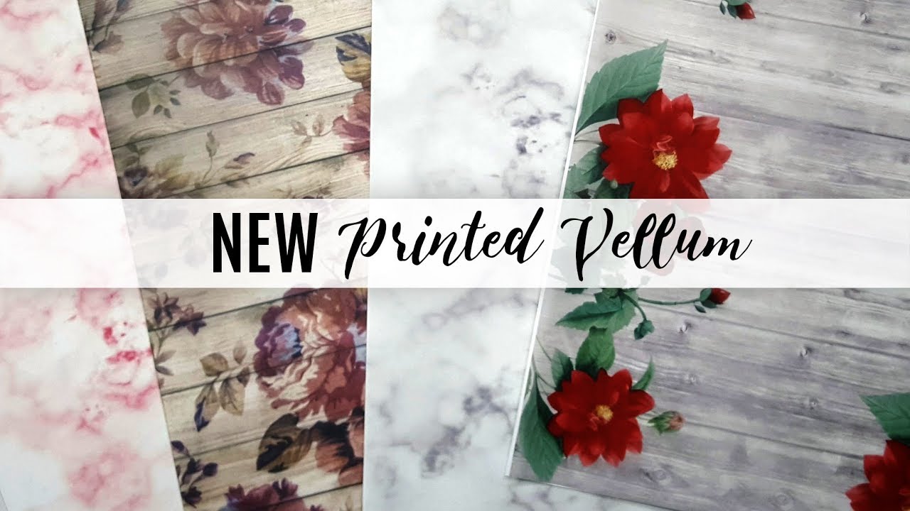 Planner and Traveler's Notebook Decor: Printed Vellum Sheets Now ...
