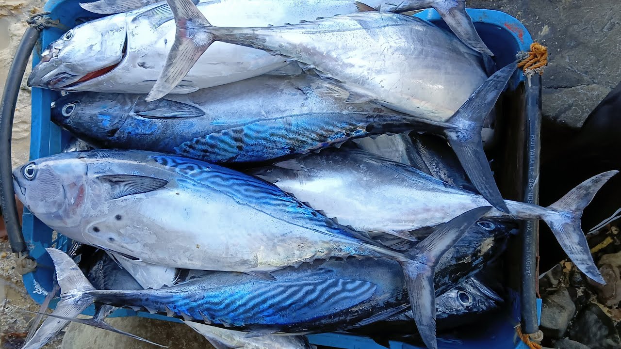 JACKPOT! MALALAKING ISDA! - YouTube