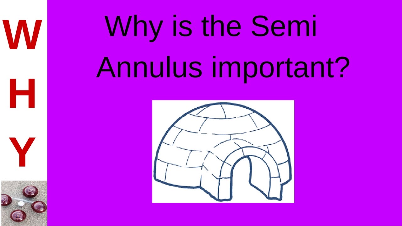 Relevance of the semi annulus. - YouTube
