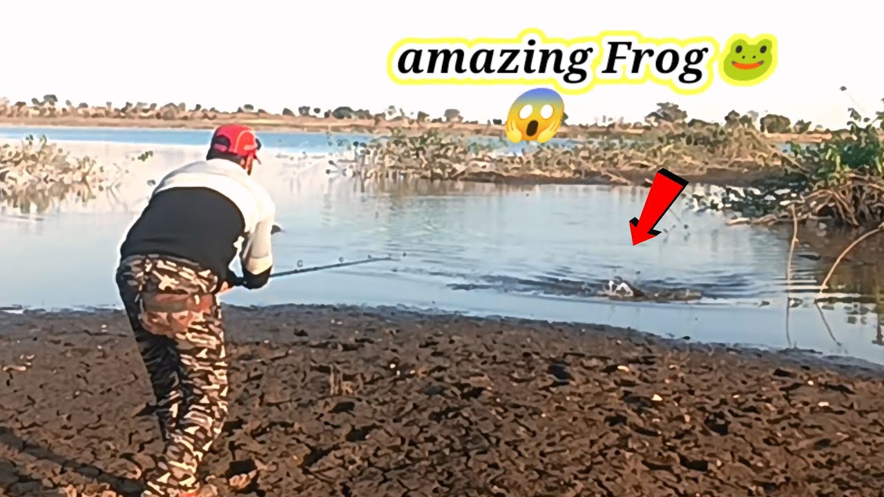 River Snakehead Maral Fishing How To Catch Snakehead - YouTube