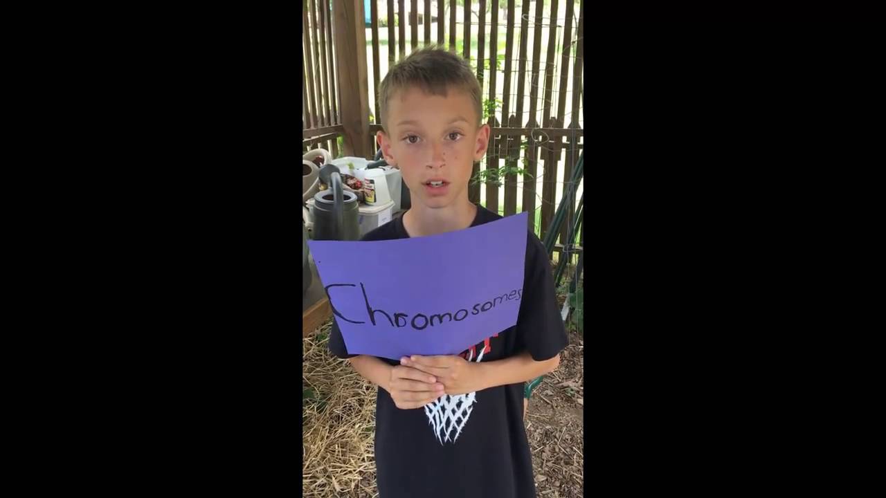 4th Grade Garden Plant Cells Project - YouTube