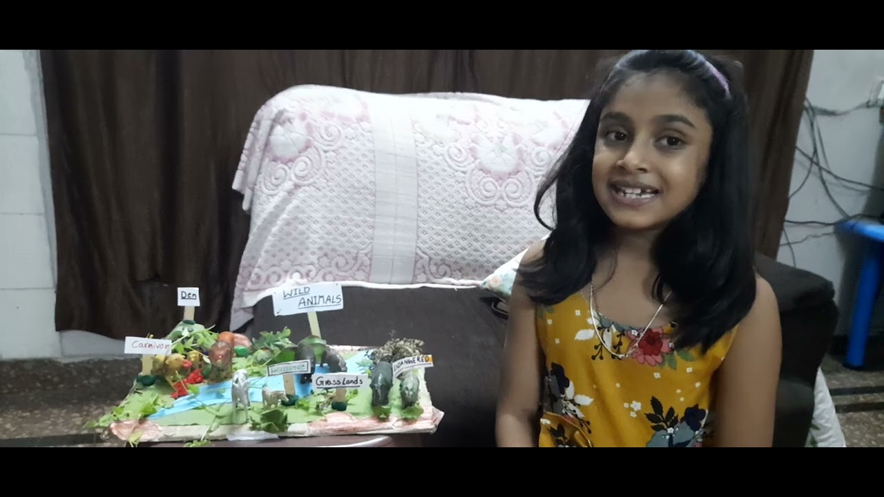 Wild Animals class 2 - YouTube