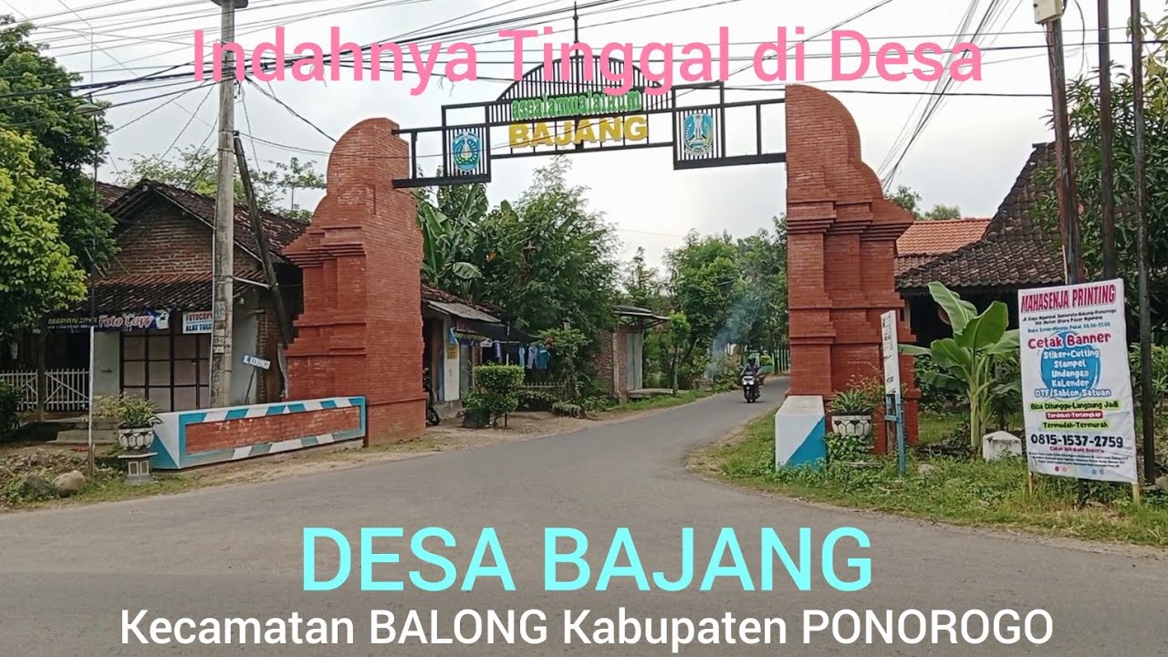 Suasana asri dan hijau di Desa BAJANG Kecamatan BALONG di kelilingi ...