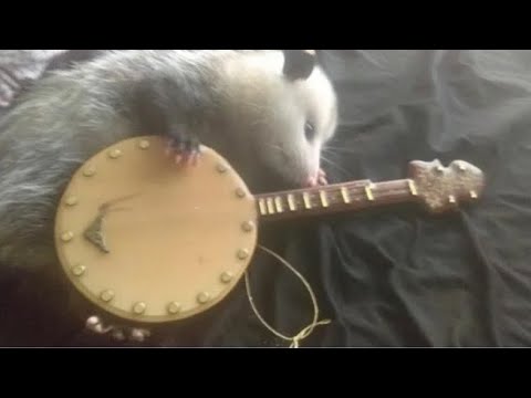 [NEW HARDEST] // PLAYING POSSUM 100% - YouTube