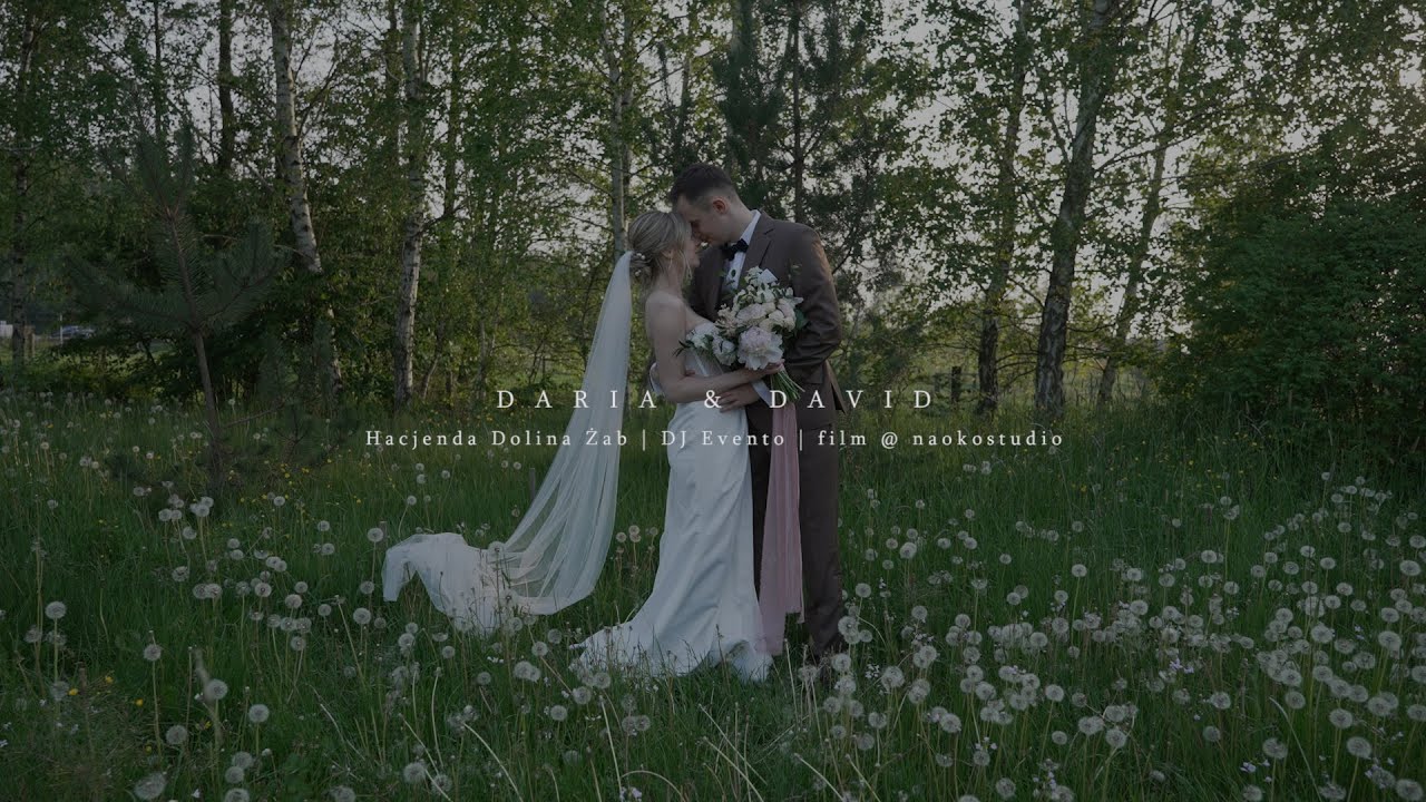 Daria & David - Wesele w Dolinie Żab - YouTube