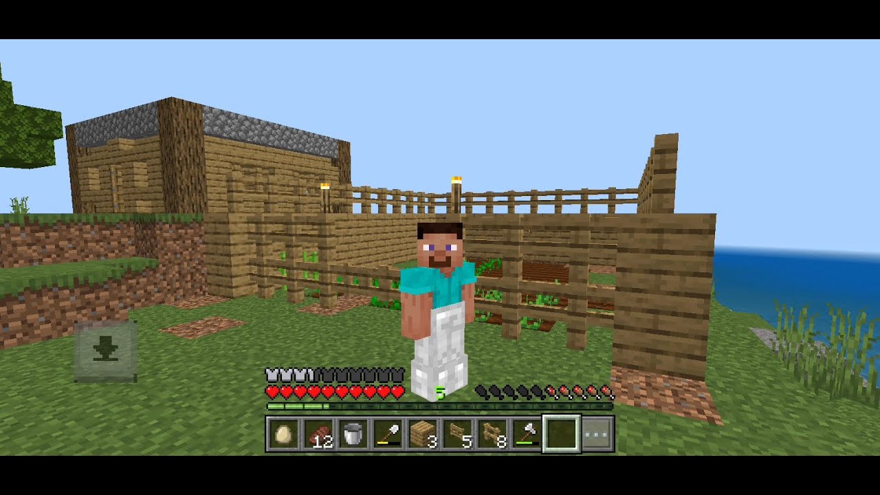 Minecraft Survival #3 – ¡Es Hora De Cultivar! - Steve en minecraft ...