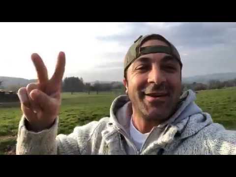 Orduxan kreditlər haqda / Aqil Abbasa həyatı başa salır