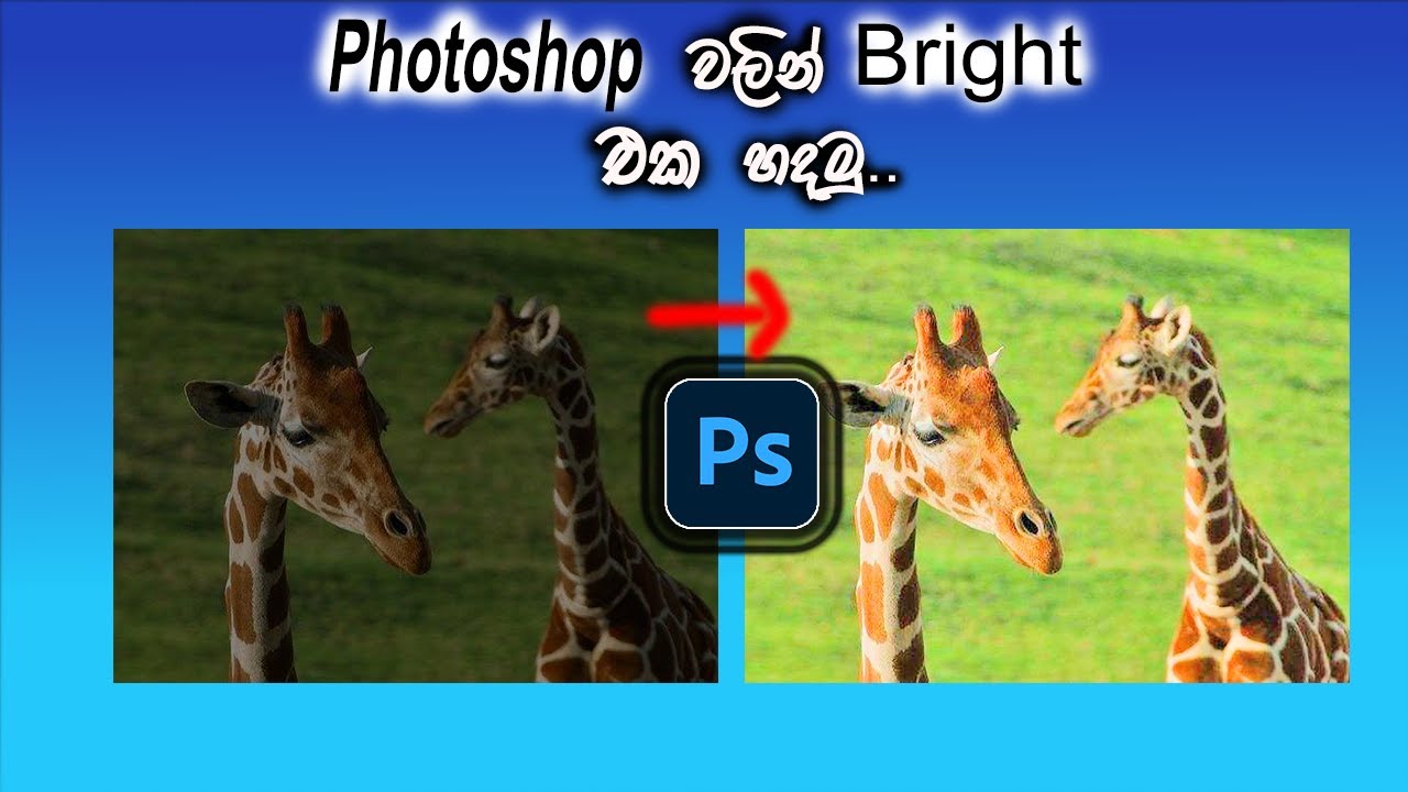 How to Increase Brightness and Color Contrast of a Photo in Photoshop ...