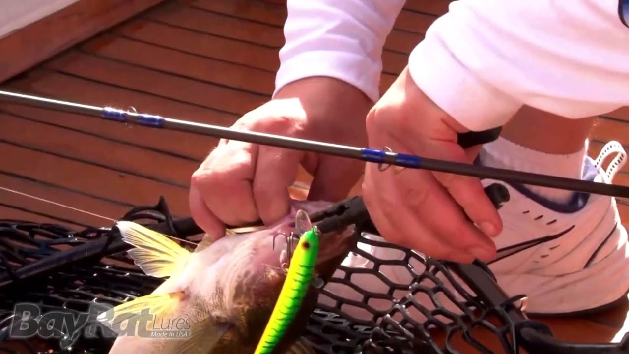 Bay Rat Lures taking walleye off Dunkirk, NY - YouTube