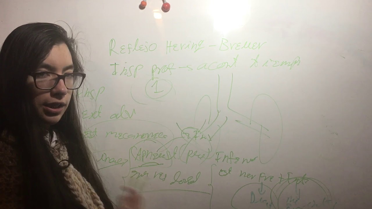 Reflejo de Hering-Breuer. Fisiología Pulmonar - YouTube