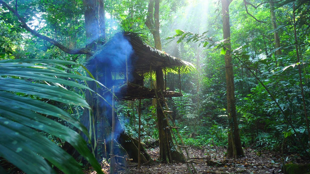 Bushcraft Survival: 7 Days Build a Bushcraft house on a tree using wood ...