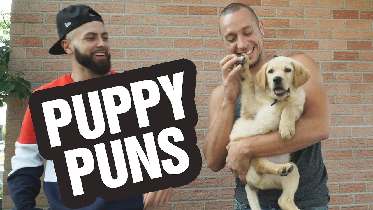 Puppies, Kittens and Puns! | The Pun Guys - YouTube