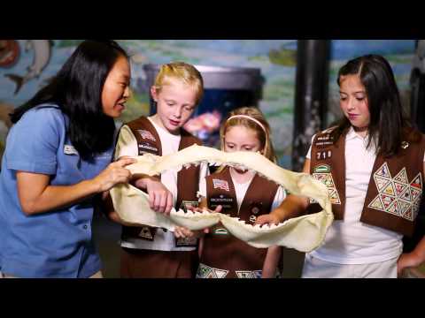 This is why zoos and aquariums are important | SeaWorld®