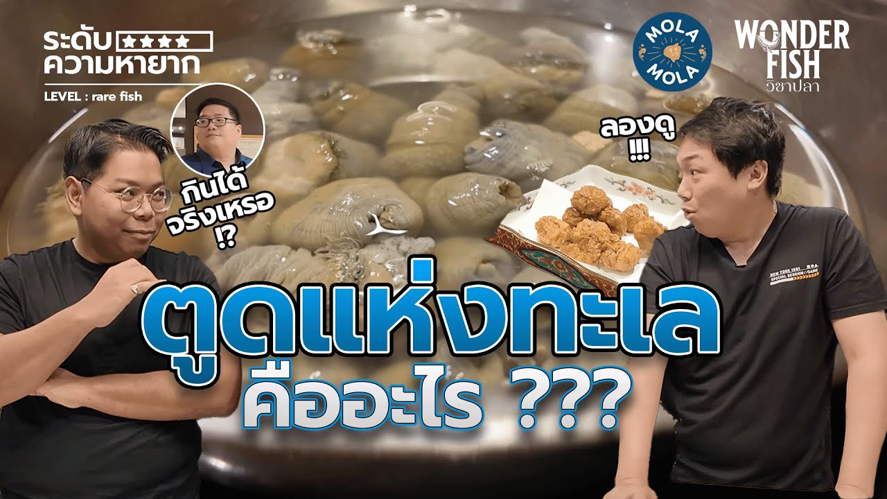 "ตูดแห่งท้องทะเล" คืออัลไลลล!!! #wonderfish #วิชาปลา - YouTube