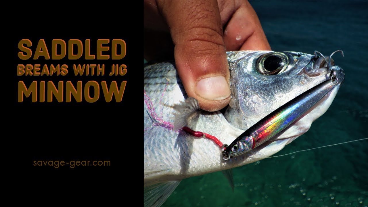 Micro Shore jigging: Saddled Breams with Jig Minnow - YouTube