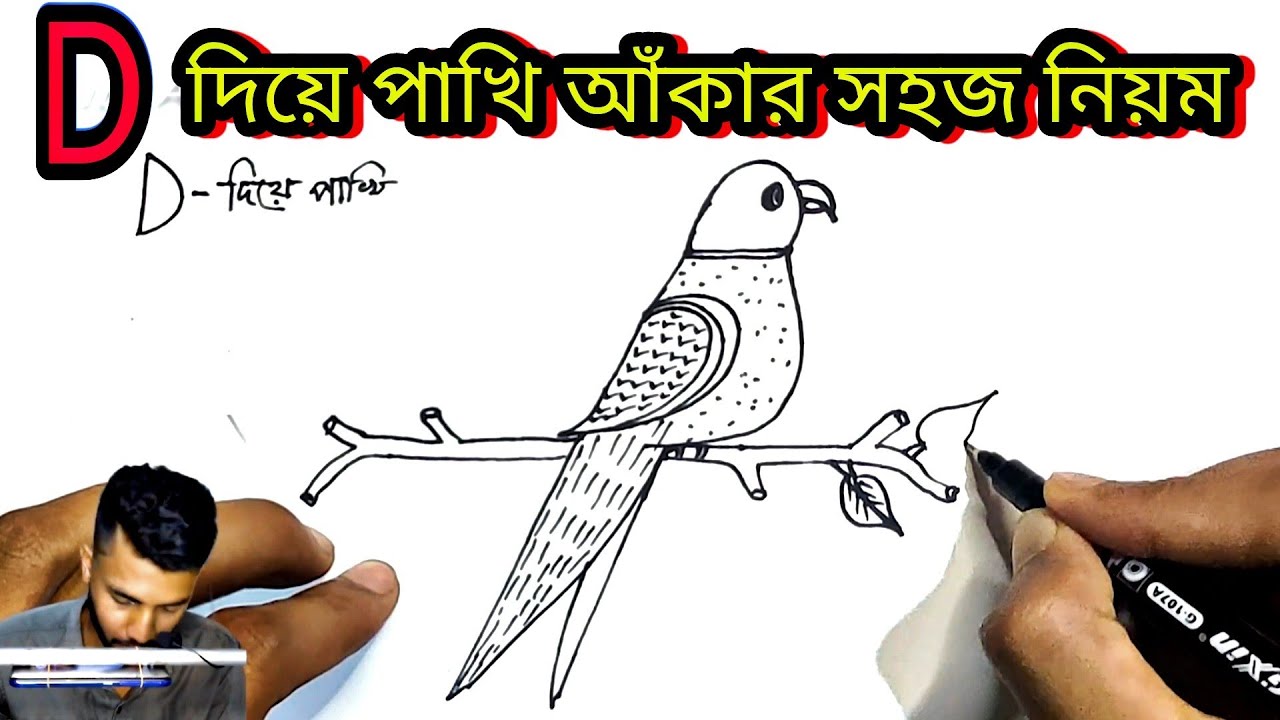 D দিয়ে পাখি আঁকার সহজ নিয়ম l HOW TO DRAWING a bird | Easy Drawings ...