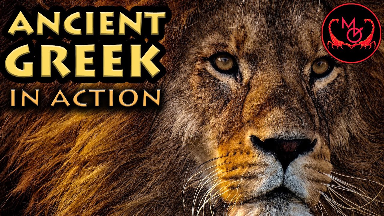 Ancient Greek: 3rd Declension Nouns | Ancient Greek in Action! ep.5 ...