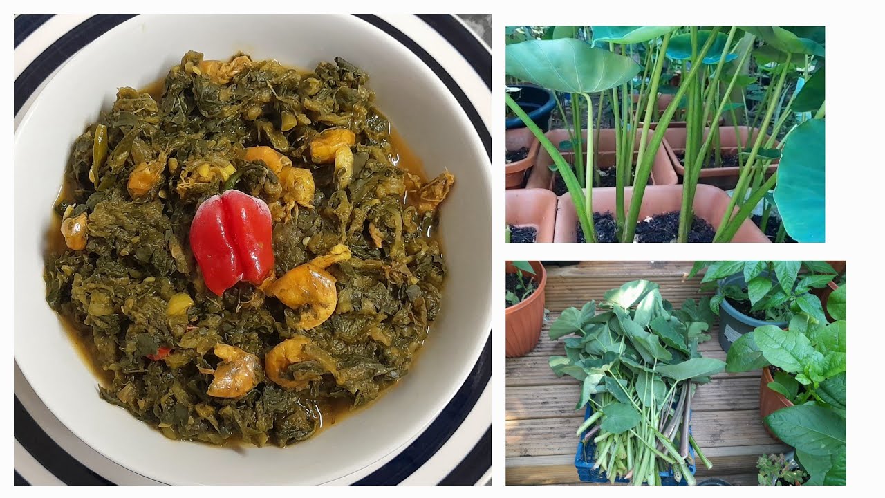 চিংড়ি মাছ দিয়ে মুকি কচু রান্নার রেসিপি/How to cut/preserve/cook taro ...