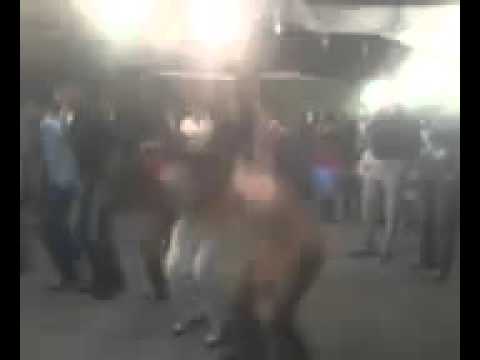 çılgın vanlılar süper halay