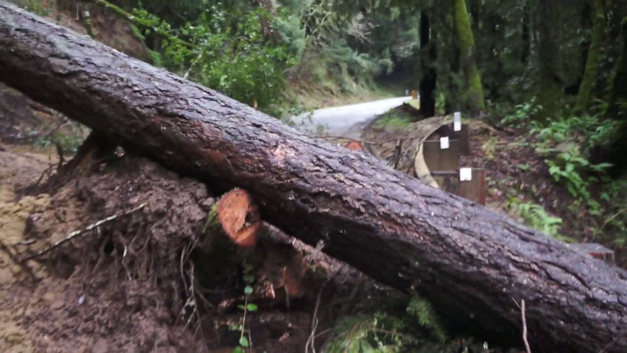 Valencia Road Washout Aptos Tree road Closer Explained YouTube valencia-road-washout-aptos-tree-road-closer-explained-youtube