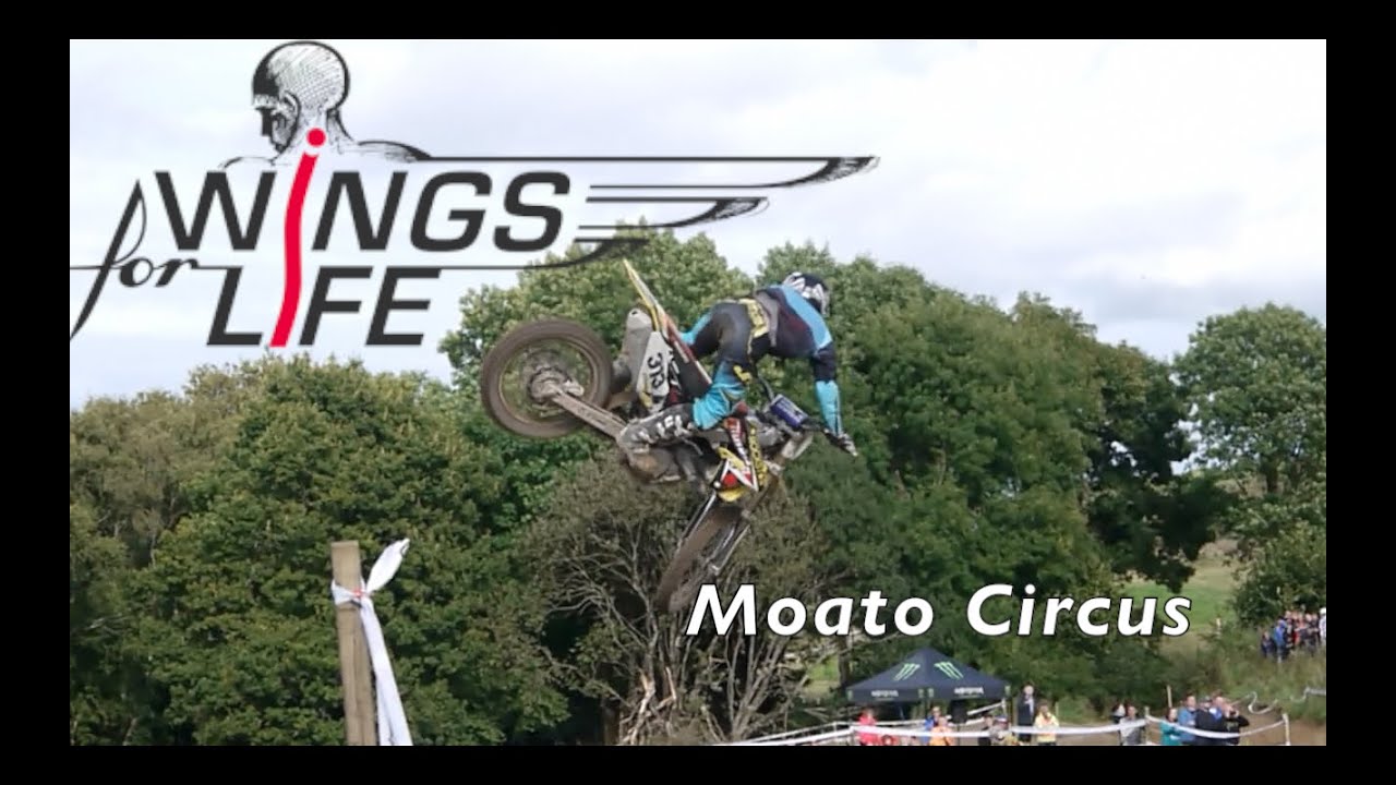 Moato Circus 2014 - YouTube