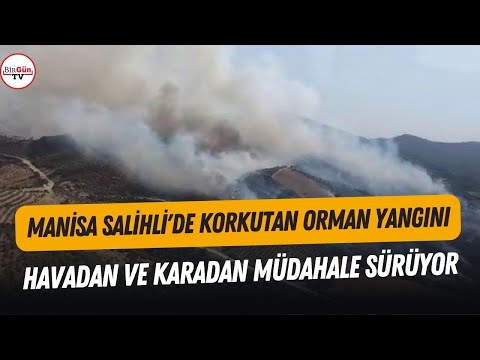 Manisa Salihli'de orman yangını çıktı! Çıkan yangın havadan böyle görüntülendi...