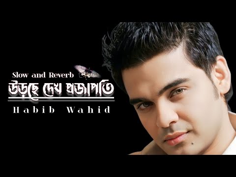 প্রজাপতি – Slow Reverb Version 💔 | Habib Wahid | Painful Vibes
