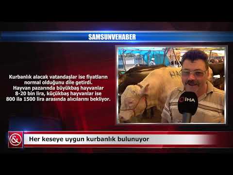 Hayvan sahipleri Kurban Bayramı’ndan umutlu | Samsun ve Haber