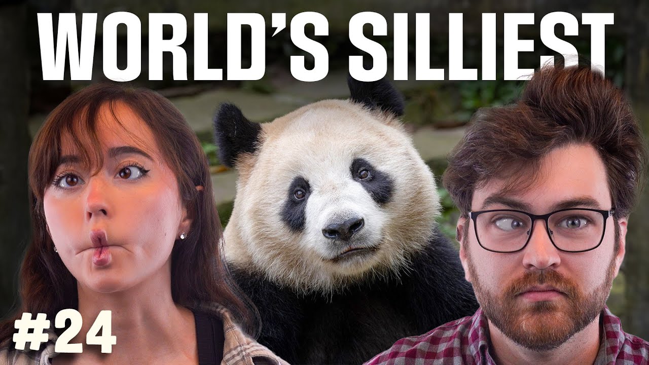 World's Silliest: Are Giant Pandas Really As Dumb As We Think? - YouTube