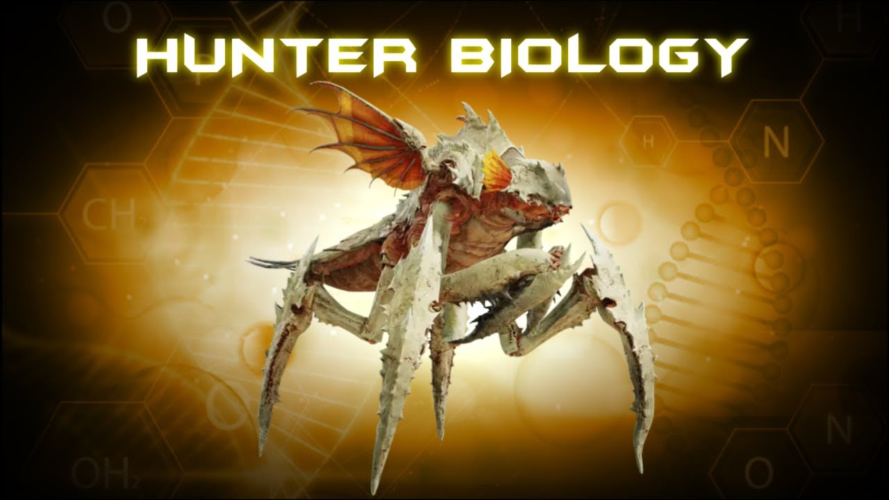 Hunter Terminid: The Nightmare That Hunts YOU! - YouTube