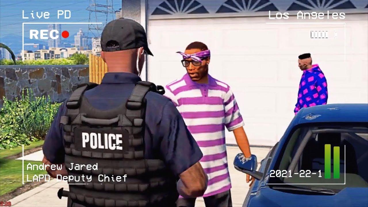 Live PD | Runaway Mullet, Fruit Bandit, Domestic Disturbance | LADOJRP ...