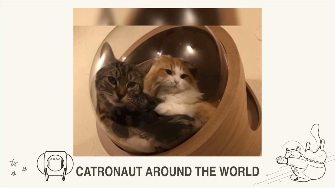 CATRONAUT AROUND THE WORLD｜MYZOO - YouTube