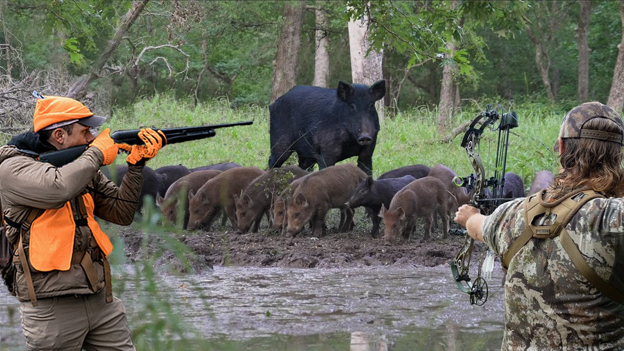 How to Hunt Wild Hogs | 4 BEST Ways - YouTube