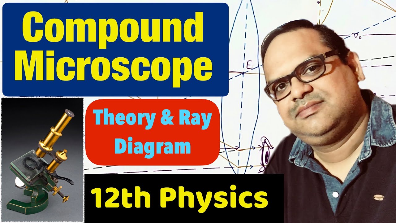 COMPOUND MICROSCOPE: Theory & Ray Diagram 12th Physics. NEET/JEE. - YouTube
