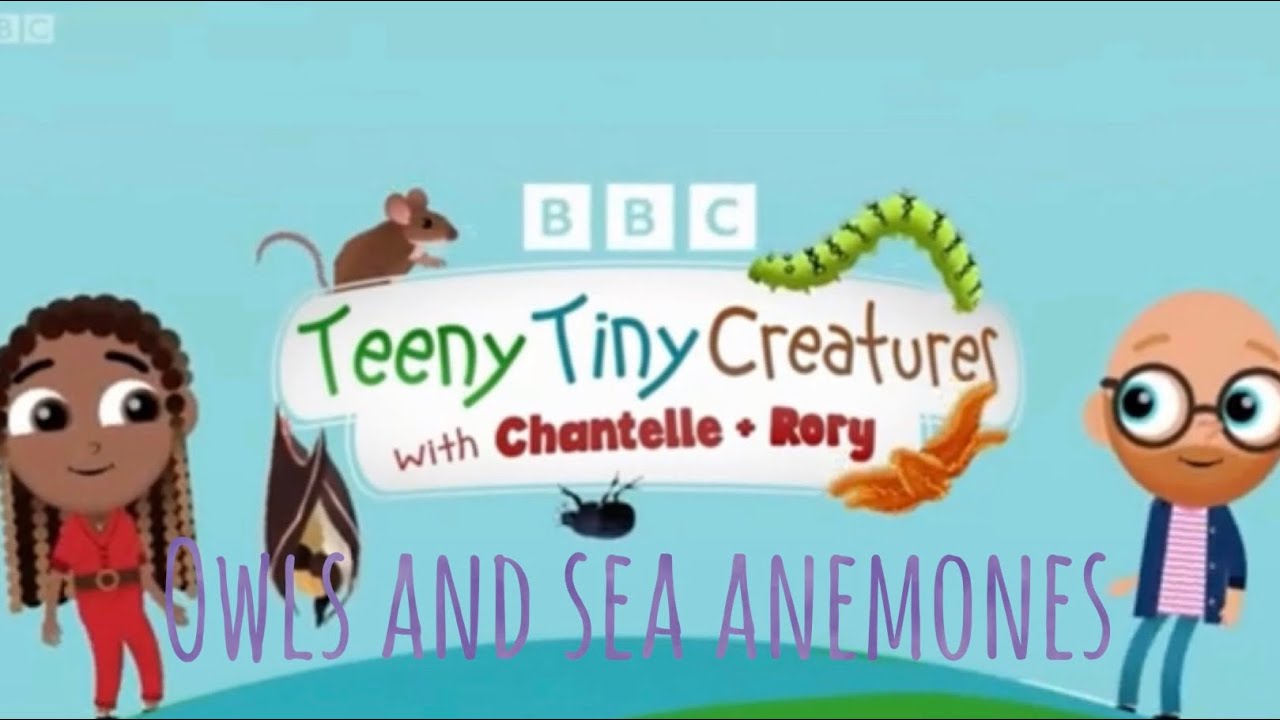 Chantelle and Rory’s teeny tiny creatures owls and sea anemones - YouTube