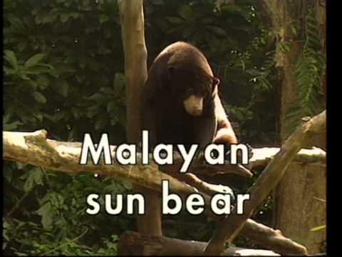 At The Zoo II - Part 04 - YouTube