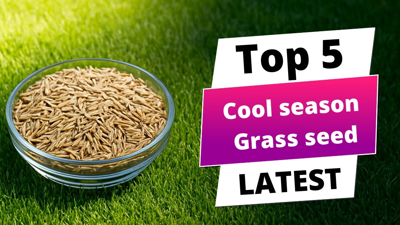 Best cool season grass seed: Cool season grass seed (Buying Guide ...