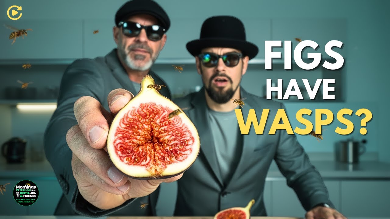 Do Figs Have Wasps Inside? (You’ll Never Unsee This) - YouTube