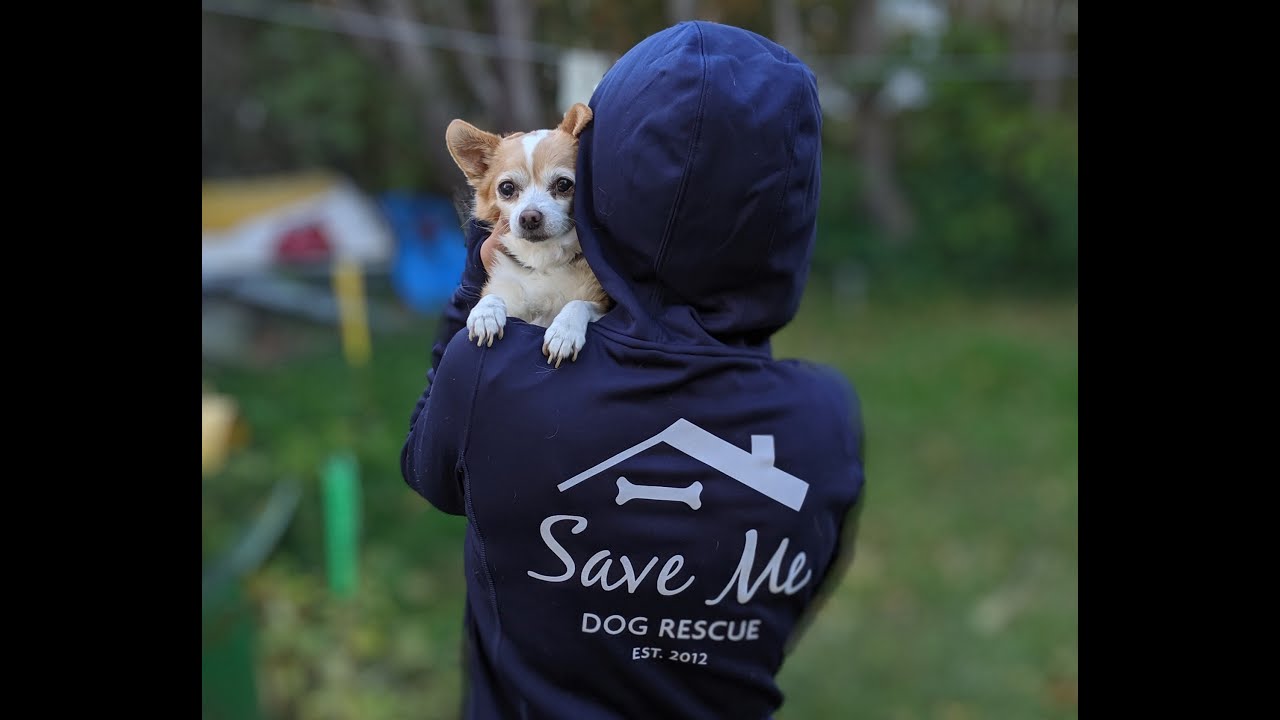 SWO Pet Collective - Save Me Dog Rescue - YouTube