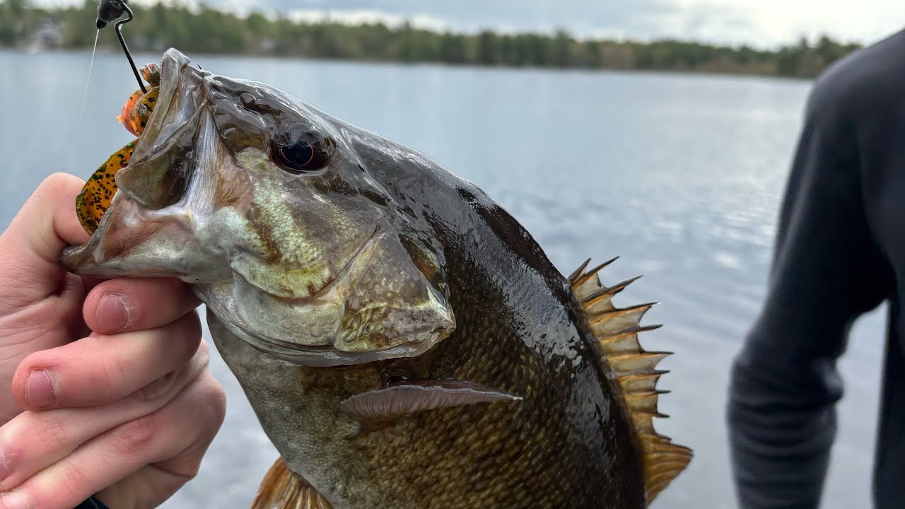 Fall Fishing in Northern Ontario for lots of Smallmouth Bass! - Part 3 ...