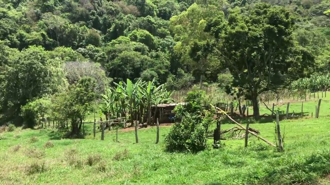 Pequeno Curral do Sítio no Sertãozinho em Borda da Mata - YouTube