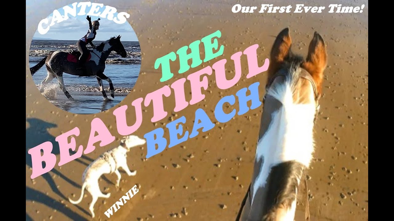 Beach Trip VLOG | Our First Ever Time At The Sea - YouTube