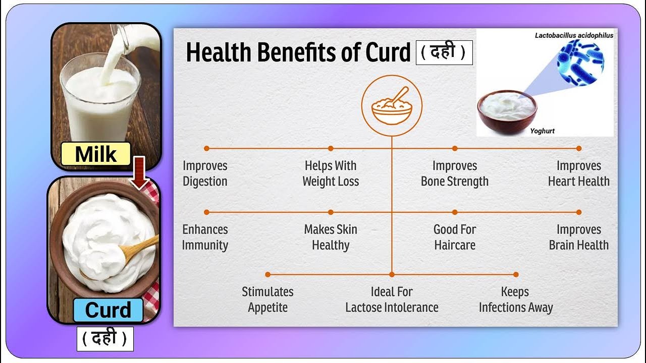 HOW IS CURD FORMED - YouTube