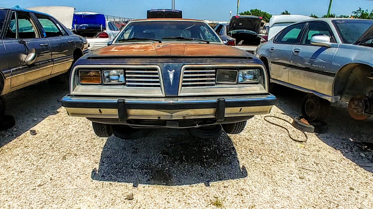 Texas sun cooked this bird. 1980 Pontiac Sunbird Junkyard Find - YouTube