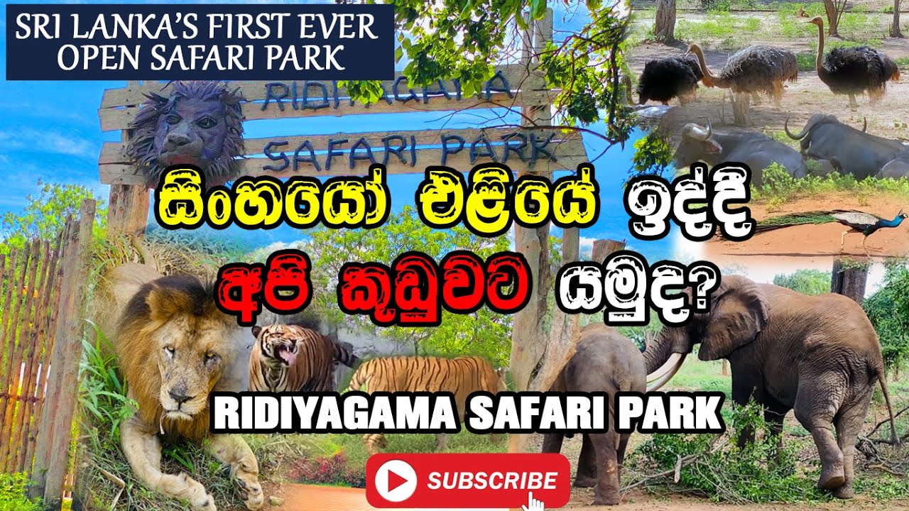 Ridiyagama Safari Park | රිදියගම | SRI LANKA 🇱🇰 - YouTube