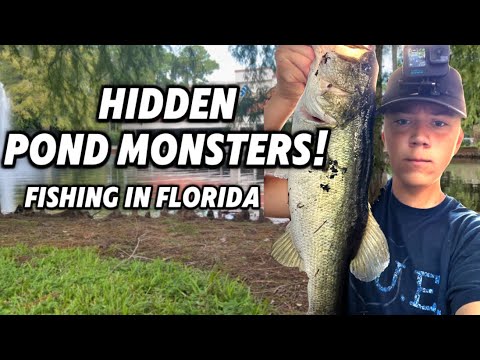 Catching big bass on wacky rig! | Florida - YouTube